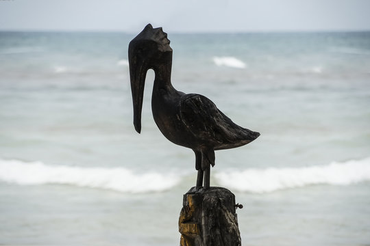 Pelica Images – Browse 45 Stock Photos, Vectors, and Video | Adobe Stock