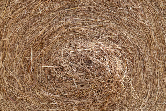 「Heurolle」の画像 - 192 件の Stock 写真、ベクターおよびビデオ | Adobe Stock