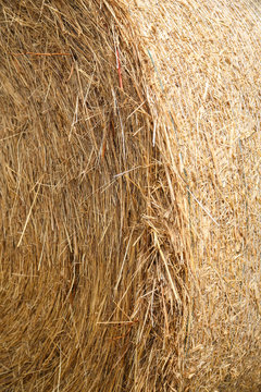 「Heurolle」の画像 - 192 件の Stock 写真、ベクターおよびビデオ | Adobe Stock