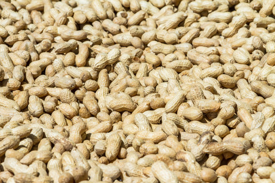 Pinat bilder – Bläddra bland 11 stockfoton, vektorer och videor | Adobe ...