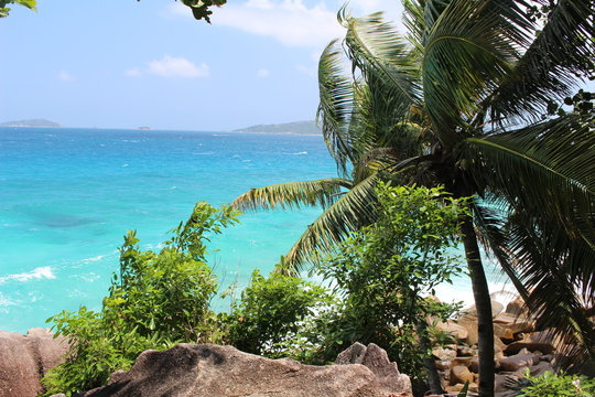 Seszele Images – Browse 94 Stock Photos, Vectors, and Video | Adobe Stock