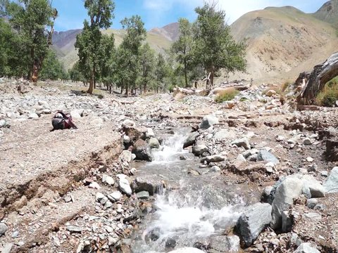 Lurch Images – Browse 5,089 Stock Photos, Vectors, and Video | Adobe Stock