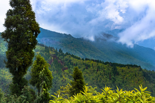 Kalimpong Images – Browse 318 Stock Photos, Vectors, and Video | Adobe ...
