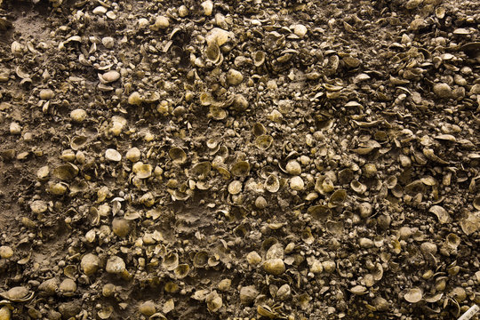 「Midden」の画像 - 3,199 件の Stock 写真、ベクターおよびビデオ | Adobe Stock