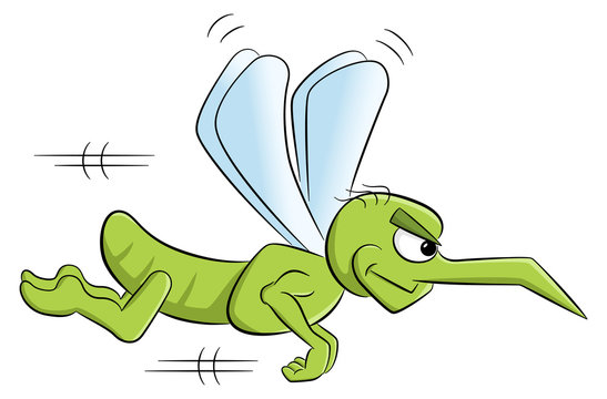 รูปภาพMoskito – เลือกดูภาพถ่ายสต็อก เวกเตอร์ และวิดีโอ2,809 | Adobe Stock