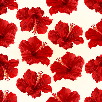 "Red Hibiscus" Images – Browse 292,979 Stock Photos, Vectors, and Video ...