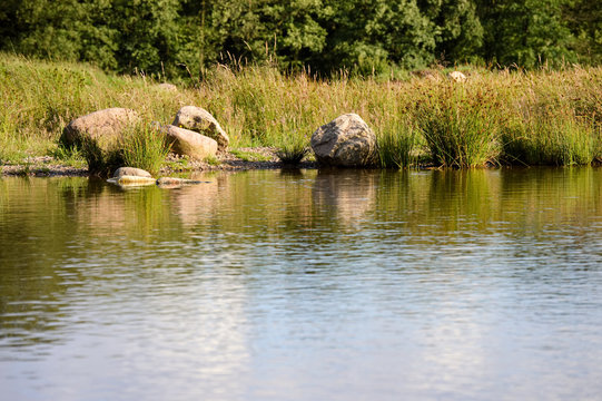 รูปภาพTeichufer – เลือกดูภาพถ่ายสต็อก เวกเตอร์ และวิดีโอ493 | Adobe Stock