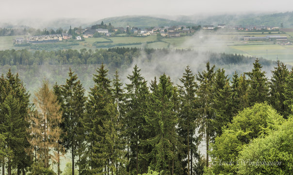 Ardenner bilder – Bläddra bland 83 stockfoton, vektorer och videor ...