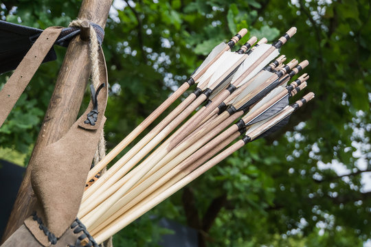 รูปภาพQuiver – เลือกดูภาพถ่ายสต็อก เวกเตอร์ และวิดีโอ304,231 | Adobe Stock