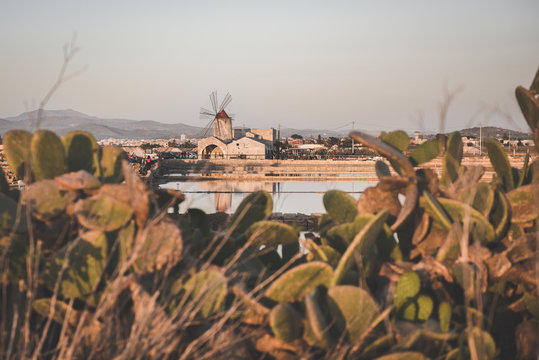 Turiamo Bilder – Durchsuchen 47 Archivfotos, Vektorgrafiken und Videos ...