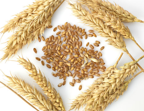 「Weizensamen」の画像 - 15 件の Stock 写真、ベクターおよびビデオ | Adobe Stock