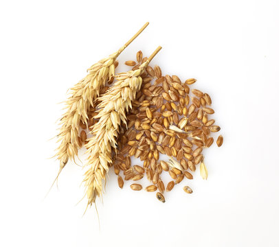 「Weizensamen」の画像 - 15 件の Stock 写真、ベクターおよびビデオ | Adobe Stock