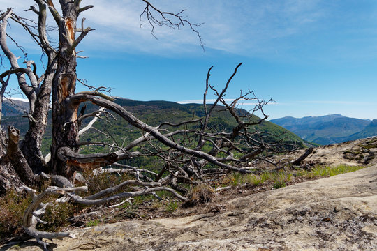 Annot Images – Browse 100 Stock Photos, Vectors, and Video | Adobe Stock