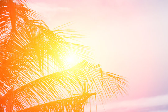 "Surface: Group" Images – Browse 3,446 Stock Photos, Vectors, and Video ...