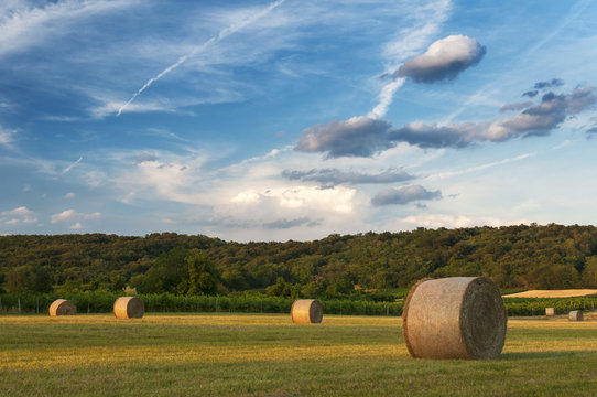 「Heurolle」の画像 - 192 件の Stock 写真、ベクターおよびビデオ | Adobe Stock