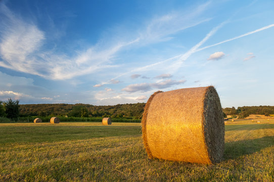 「Heurolle」の画像 - 192 件の Stock 写真、ベクターおよびビデオ | Adobe Stock