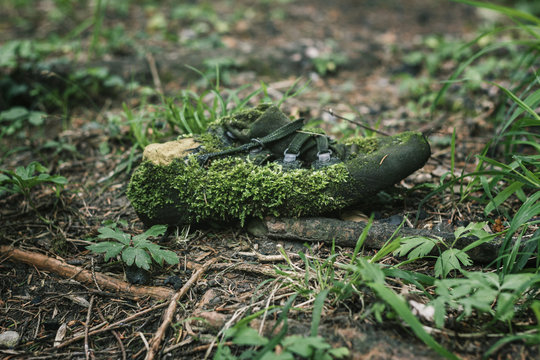Vermooster-Bilder: Stock-Fotos & -Videos. | Adobe Stock