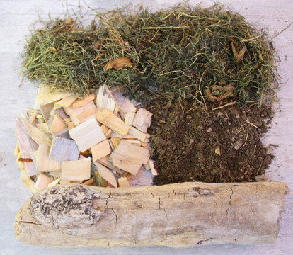 Imágenes de Harbe: descubre bancos de fotos, ilustraciones, vectores y ...