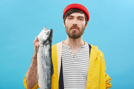 Obrazy (Angler) — zdjęcia, wektory i wideo bez tantiem (137,365 ...