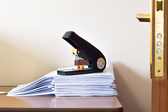 รูปภาพStepler – เลือกดูภาพถ่ายสต็อก เวกเตอร์ และวิดีโอ454 | Adobe Stock