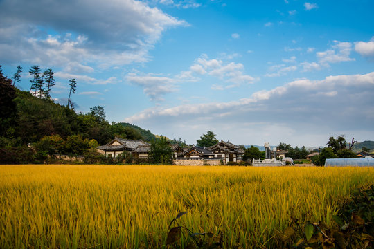 「Yecheon」の写真素材 | 89件の無料イラスト画像 | Adobe Stock