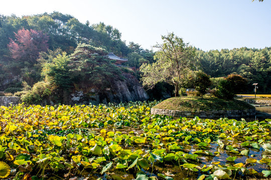 Yecheon Bilder – Durchsuchen 80 Archivfotos, Vektorgrafiken und Videos ...