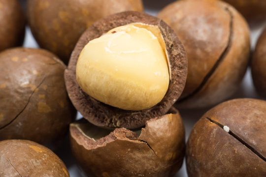 รูปภาพMacca – เลือกดูภาพถ่ายสต็อก เวกเตอร์ และวิดีโอ284 | Adobe Stock