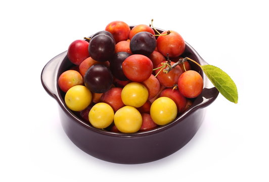 Ringlov Images – Browse 34 Stock Photos, Vectors, and Video | Adobe Stock