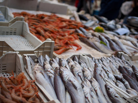 รูปภาพFishmarket – เลือกดูภาพถ่ายสต็อก เวกเตอร์ และวิดีโอ10,848 | Adobe ...