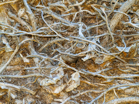 "Artificial Texture" Images – Browse 80 Stock Photos, Vectors, and ...