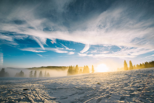 Glow Images – Browse 22,393,961 Stock Photos, Vectors, and Video ...