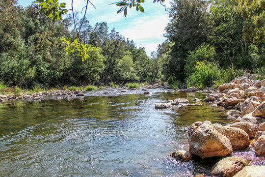Imagens de Fluvial – Explore Fotografias do Stock, Vetores e Vídeos de ...
