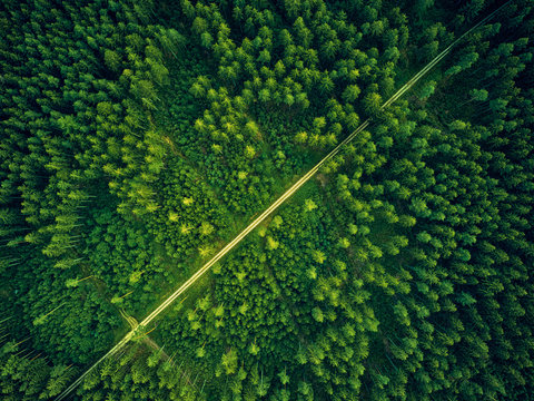 "Black Forest" Images – Browse 108,146 Stock Photos, Vectors, and Video ...