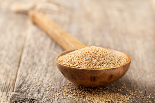 รูปภาพAmaranth – เลือกดูภาพถ่ายสต็อก เวกเตอร์ และวิดีโอ26,561 | Adobe Stock