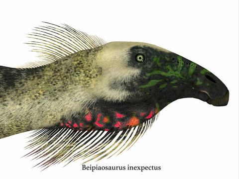 Obrázky Beipiaosaurus – procházejte fotografie, vektory a videa 20 ...