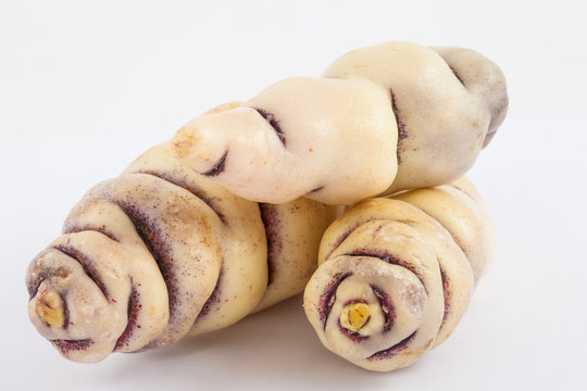 Cubios photos, royalty-free images, graphics, vectors & videos | Adobe ...