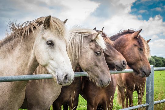 รูปภาพWindfarben – เลือกดูภาพถ่ายสต็อก เวกเตอร์ และวิดีโอ107 | Adobe Stock