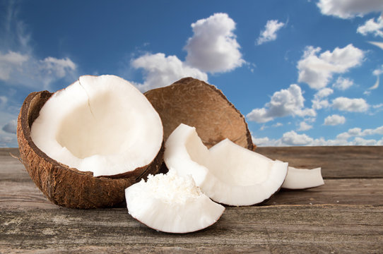 「Coconat」の写真素材 | 362件の無料イラスト画像 | Adobe Stock