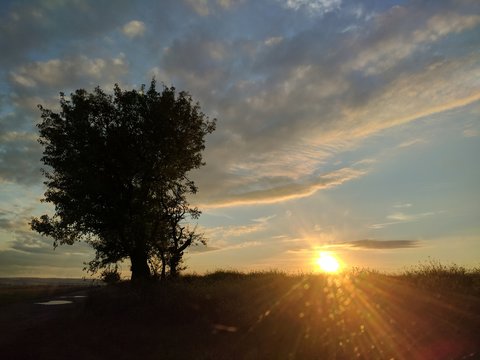 Greller Images – Browse 10 Stock Photos, Vectors, and Video | Adobe Stock