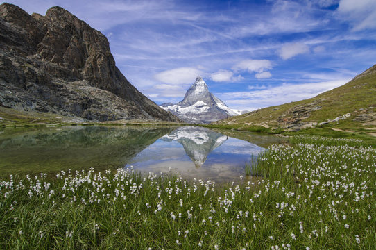 Naturparadies Images – Browse 1,298 Stock Photos, Vectors, and Video ...