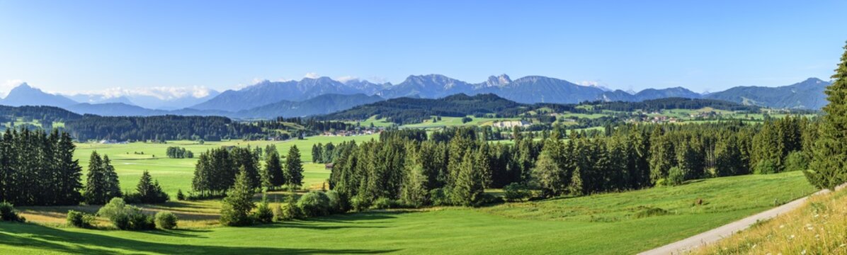 "Seeg Images – Browse 371 Stock Photos, Vectors, and Video | Adobe Stock