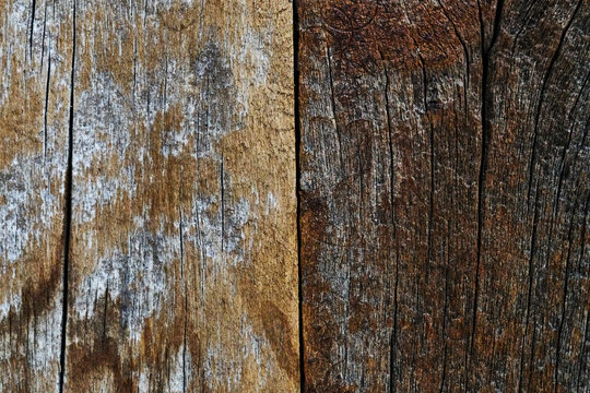 Aufgeteilt bilder – Bläddra bland 181 stockfoton, vektorer och videor ...
