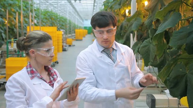 Agronomy Video Footage – Browse 99,968 HD Stock Video and Footage ...