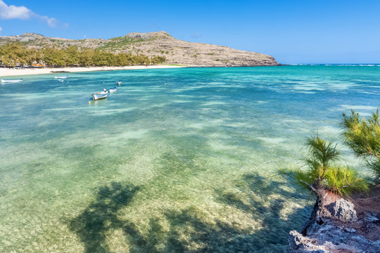 รูปภาพRodrigues – เลือกดูภาพถ่ายสต็อก เวกเตอร์ และวิดีโอ1,341 | Adobe Stock