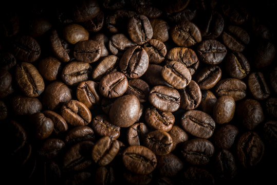 รูปภาพJamoke – เลือกดูภาพถ่ายสต็อก เวกเตอร์ และวิดีโอ4,539 | Adobe Stock