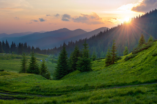 Marmarosh Images – Browse 224 Stock Photos, Vectors, and Video | Adobe ...