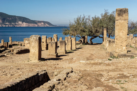 Numide Images – Browse 38 Stock Photos, Vectors, and Video | Adobe Stock