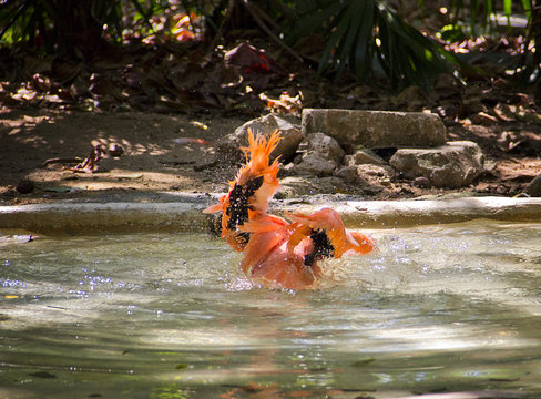 รูปภาพBadender – เลือกดูภาพถ่ายสต็อก เวกเตอร์ และวิดีโอ198 | Adobe Stock