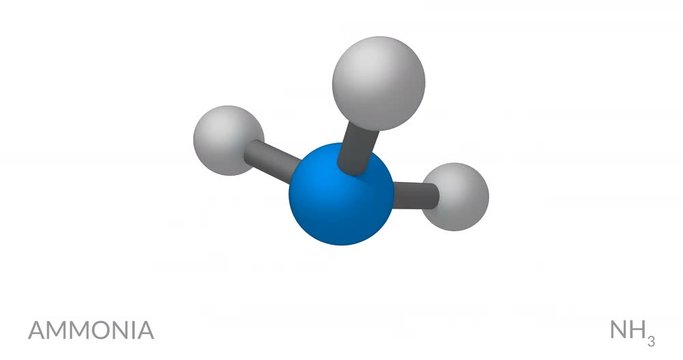 Ammonium Molecule
