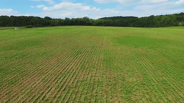 รูปภาพCornstalk – เลือกดูภาพถ่ายสต็อก เวกเตอร์ และวิดีโอ5,805 | Adobe Stock